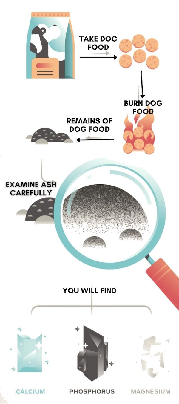 What is Ash in Dog Food & Its Importance in 2021 - DogNeedsBest