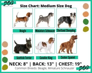 Dog Clothes Sizing Chart From Experts - DogNeedsBest