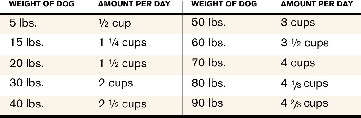 Badlands Ranch Superfood Complete Review: Is It Worth? - DogNeedsBest